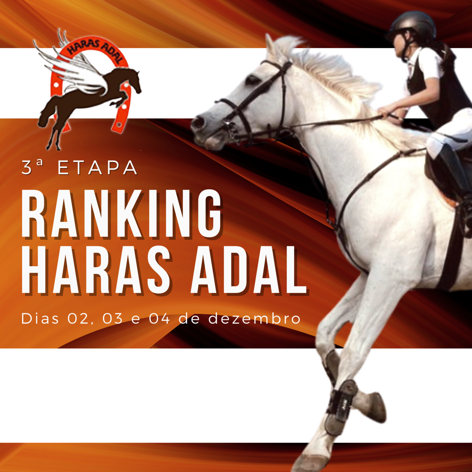 Confira o Resultado Final do Ranking Haras Adal 2022 – Haras Adal